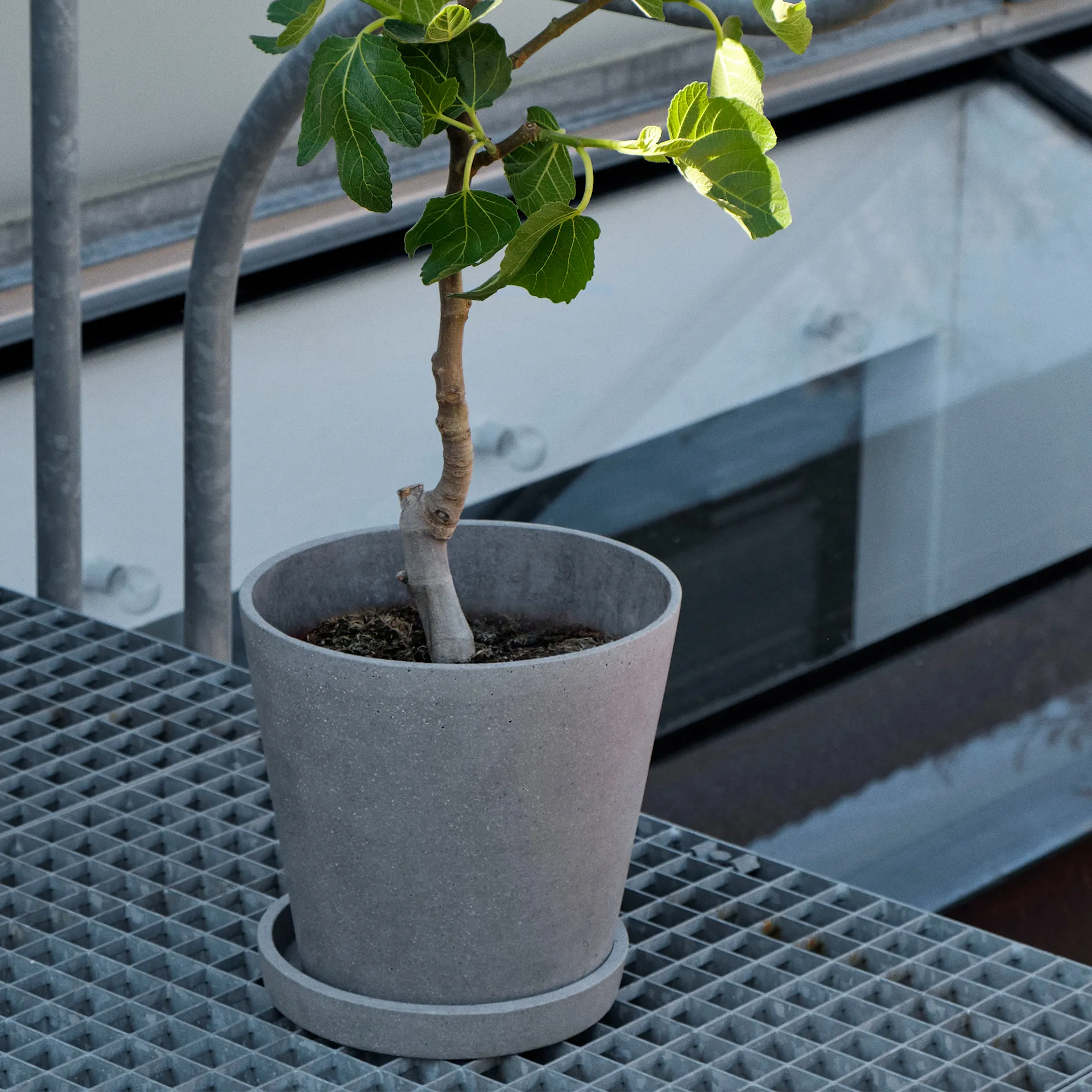 Hay plant pot store